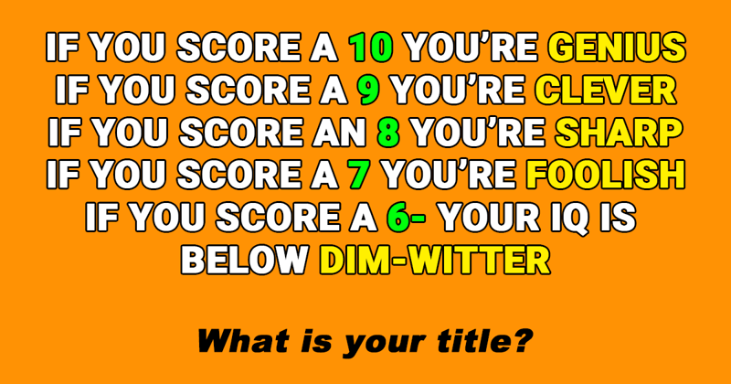 What is your trivia title?