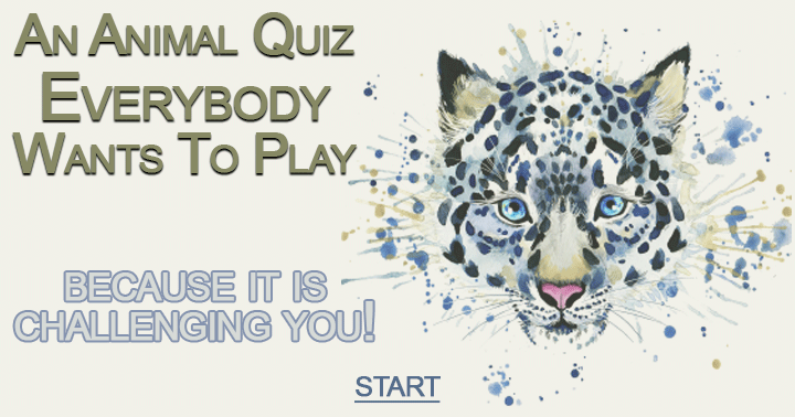 Let's find out how many quizzes can achieve a score higher than 7!